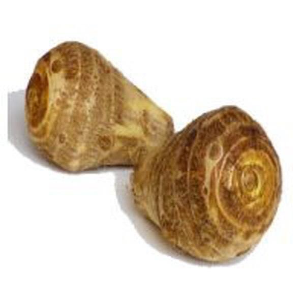 Fresh Arbi ~454g - Cartly - Indian Grocery Store